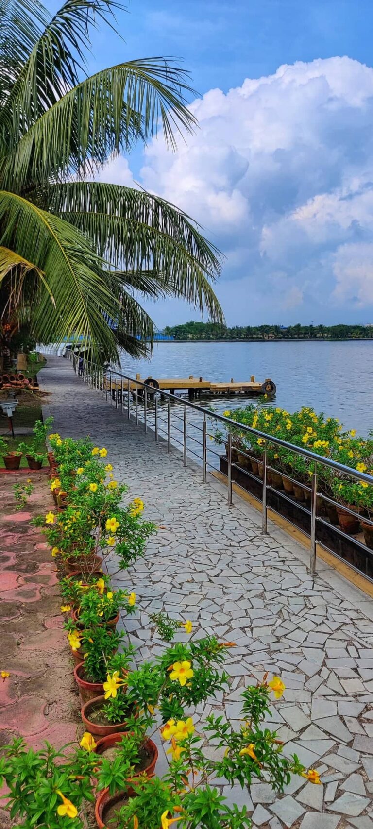 A day trip to Cafe Ekante | NeonBrothers